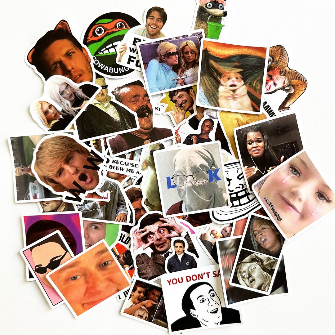 50 Pcs Funny Meme Vinyl Stickers Pack, Large Bulk Sticker for Laptop ...
