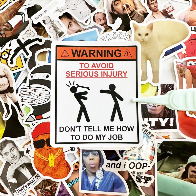 50 Pcs Internet Funny Meme Vinyl Stickers Pack, Large Bulk Sticker for ...