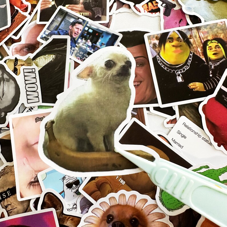 200 Pcs Funny Meme Vinyl Stickers Pack, Large Bulk Sticker for Laptop ...