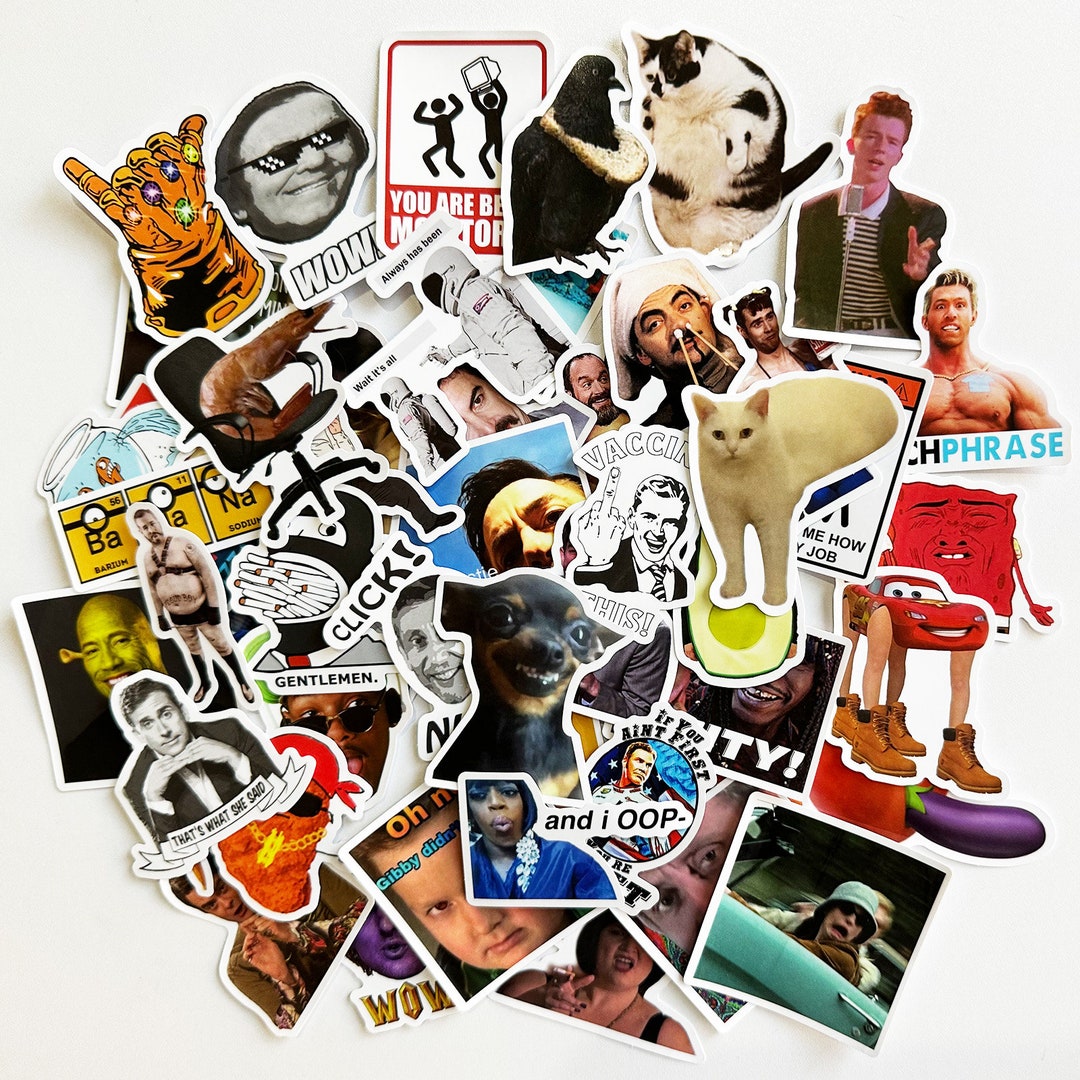 50 Pcs Internet Funny Meme Vinyl Stickers Pack, Large Bulk Sticker for ...