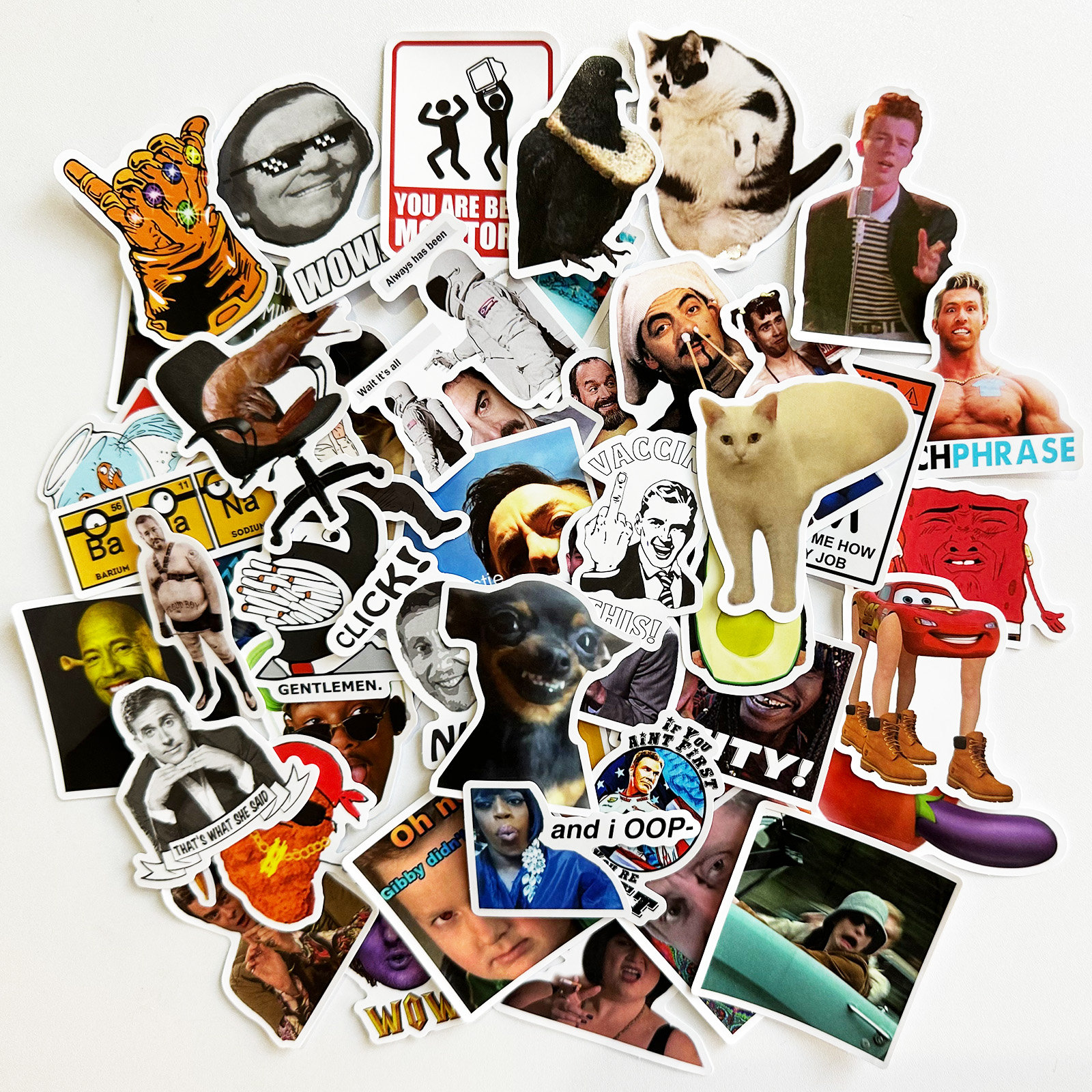 50 Pcs Internet Funny Meme Vinyl Stickers Pack, Large Bulk Sticker for ...