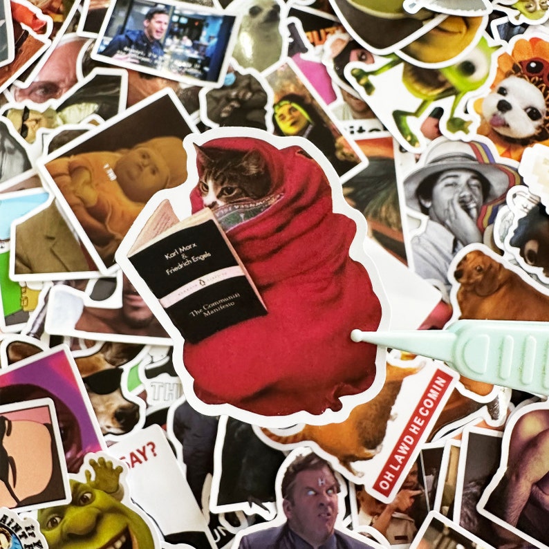 200 Pcs Funny Meme Vinyl Stickers Pack, Large Bulk Sticker for Laptop ...
