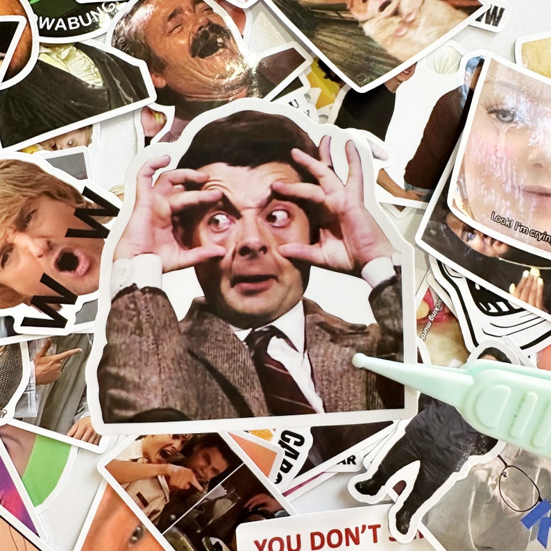 50 Pcs Funny Meme Vinyl Stickers Pack, Large Bulk Sticker for Laptop ...