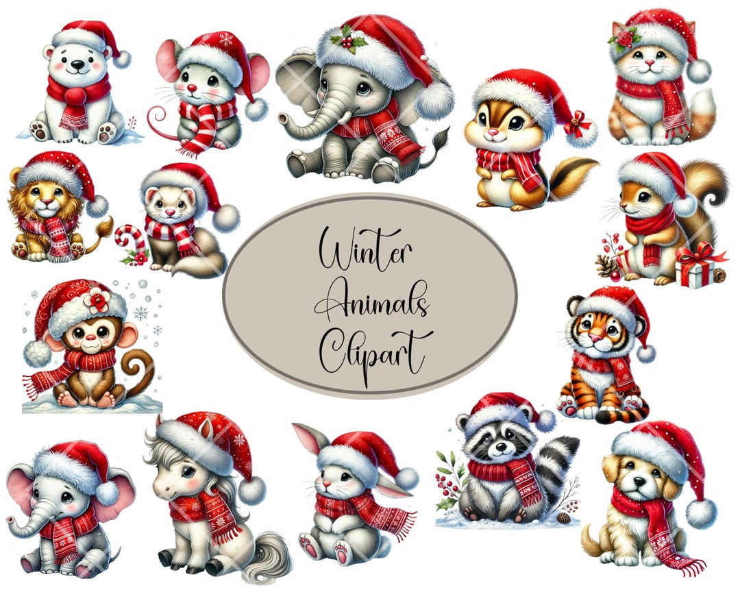 15 PNG, Winter Animals Clipart Bundle, Christmas Graphics, Cute Holiday ...
