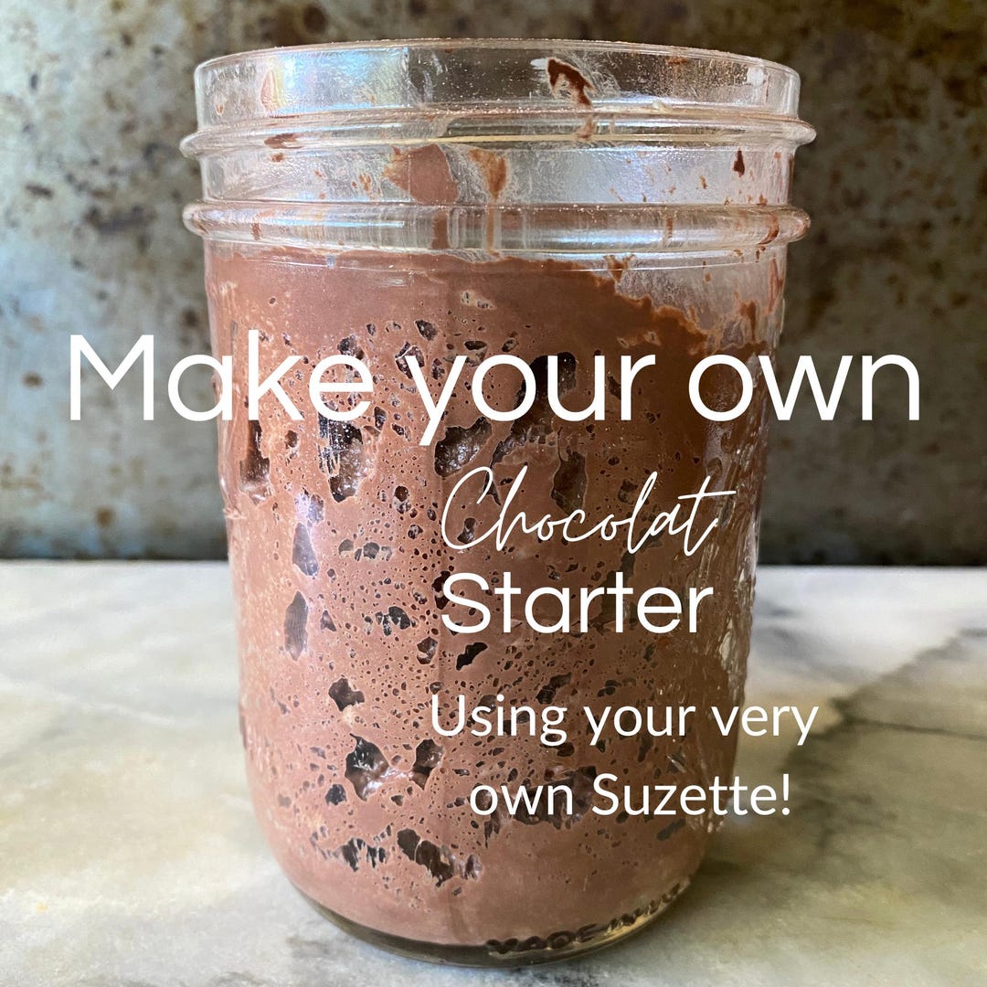 Make Your Own Chocolate Sourdough Starter - Simple Instructions on How ...