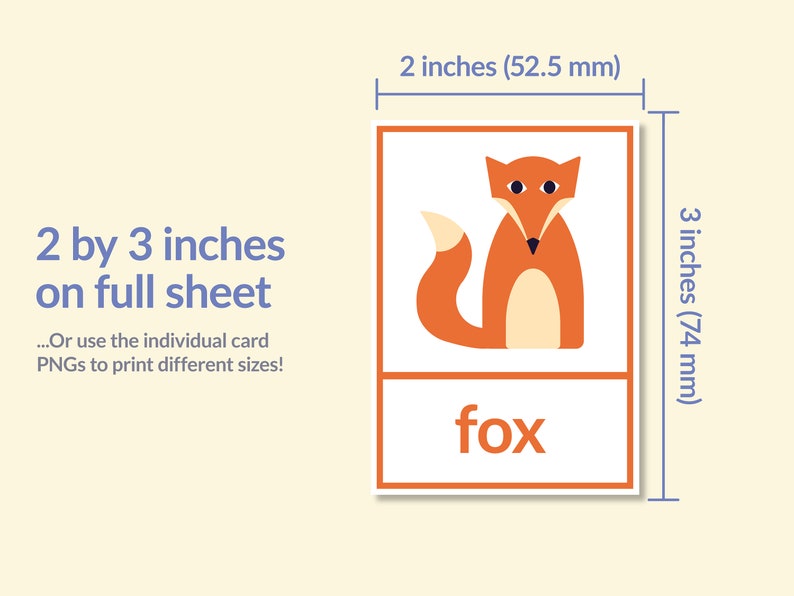 Printable Word Cards | Fashcards, English Learning for Kids ...