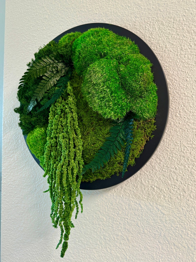 Round Moss Rainforest Preserved Moss Wall Art Framed Moss Wall Decor ...