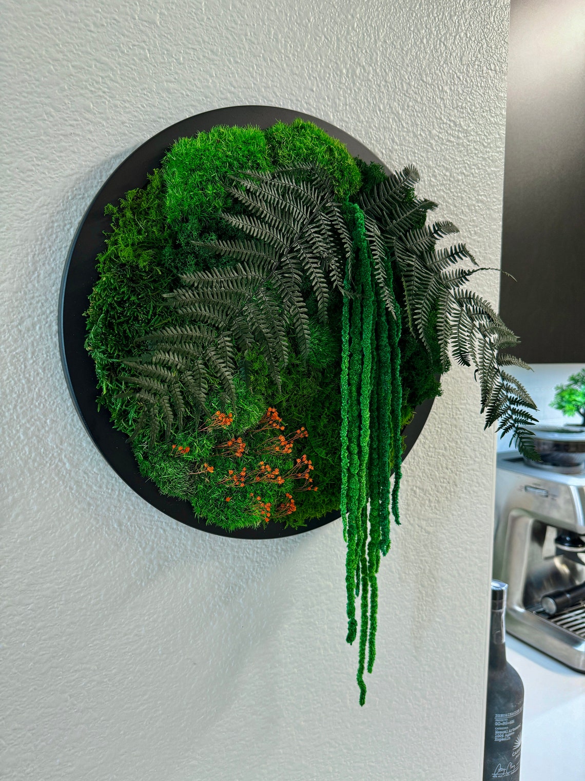 Round Moss Rainforest Preserved Moss Wall Art Framed Moss Wall Decor ...