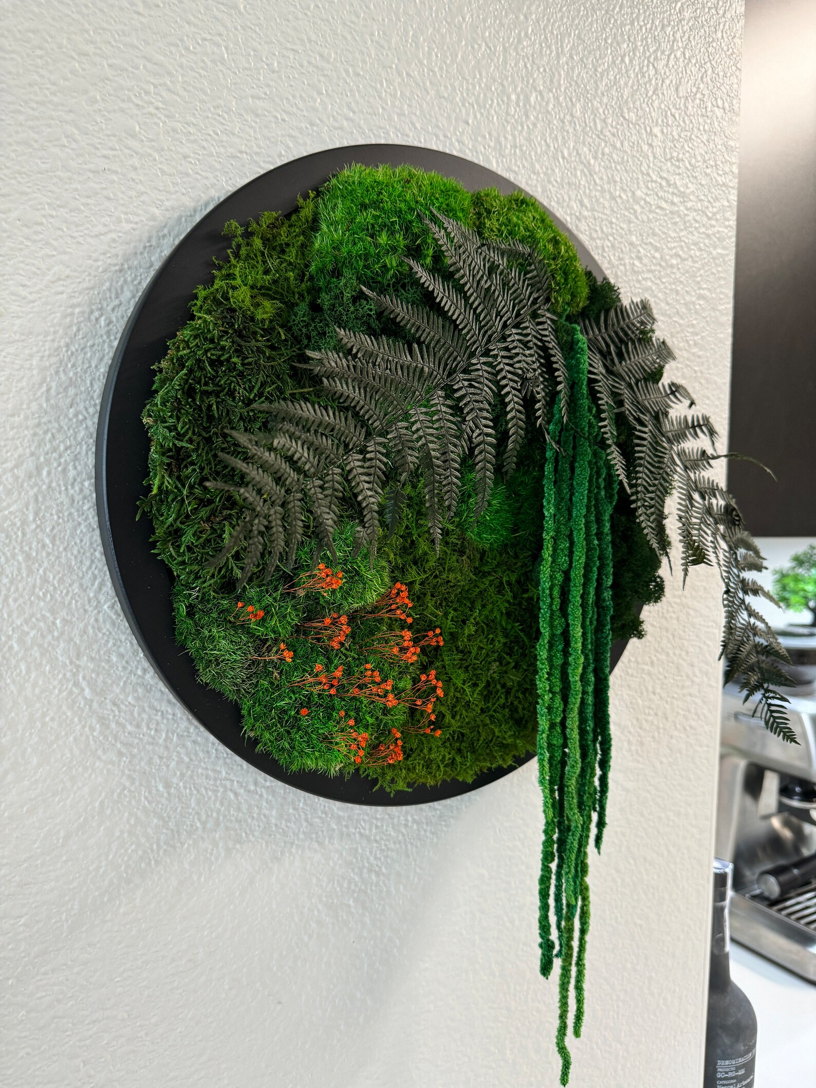 Round Moss Rainforest Preserved Moss Wall Art Framed Moss Wall Decor ...