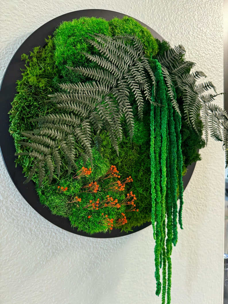 Round Moss Rainforest Preserved Moss Wall Art Framed Moss Wall Decor ...