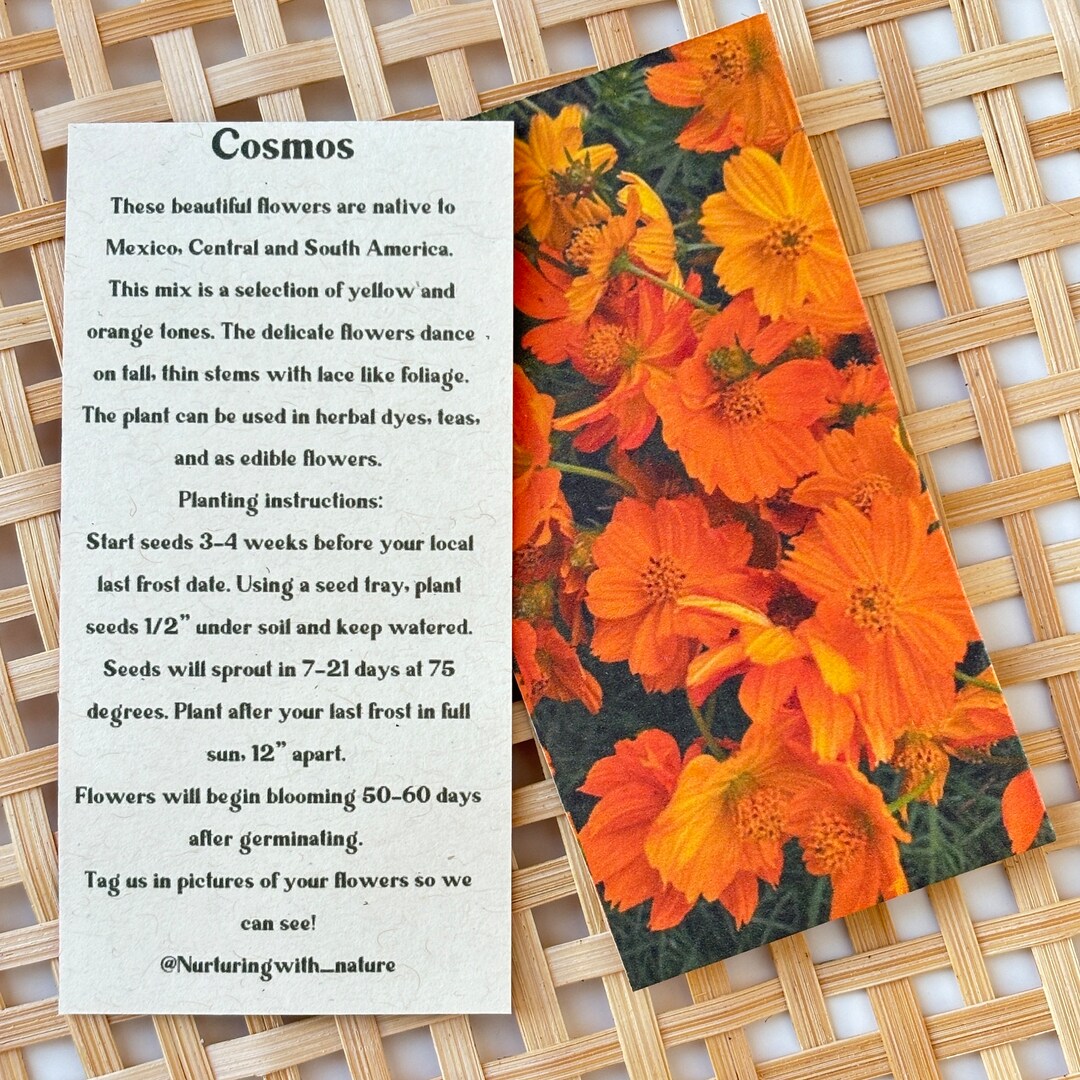 Cosmo Flower Seed Packet-flower Seeds-small Gift - Etsy
