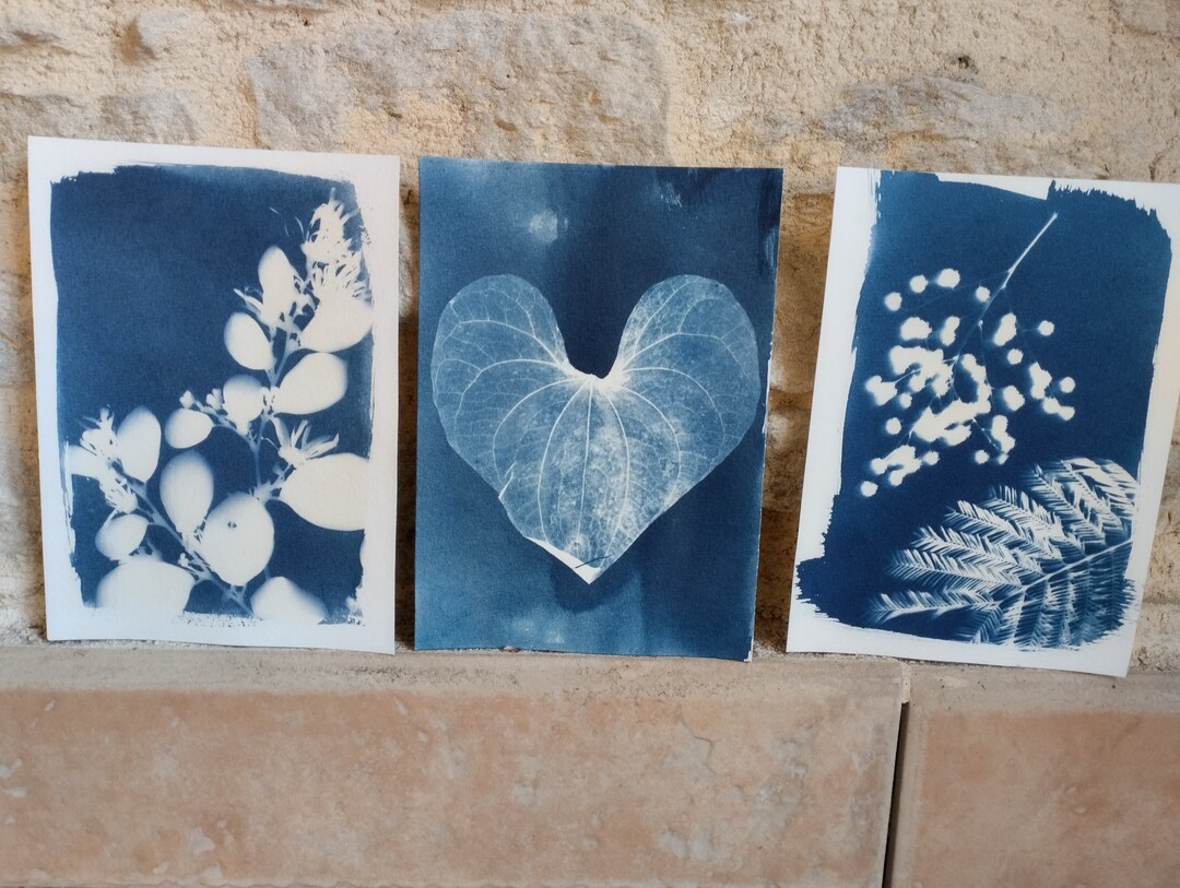Cyanotype Cards - Etsy