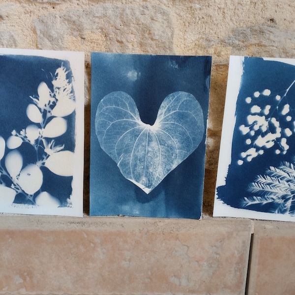 Cyanotype Cards - Etsy UK