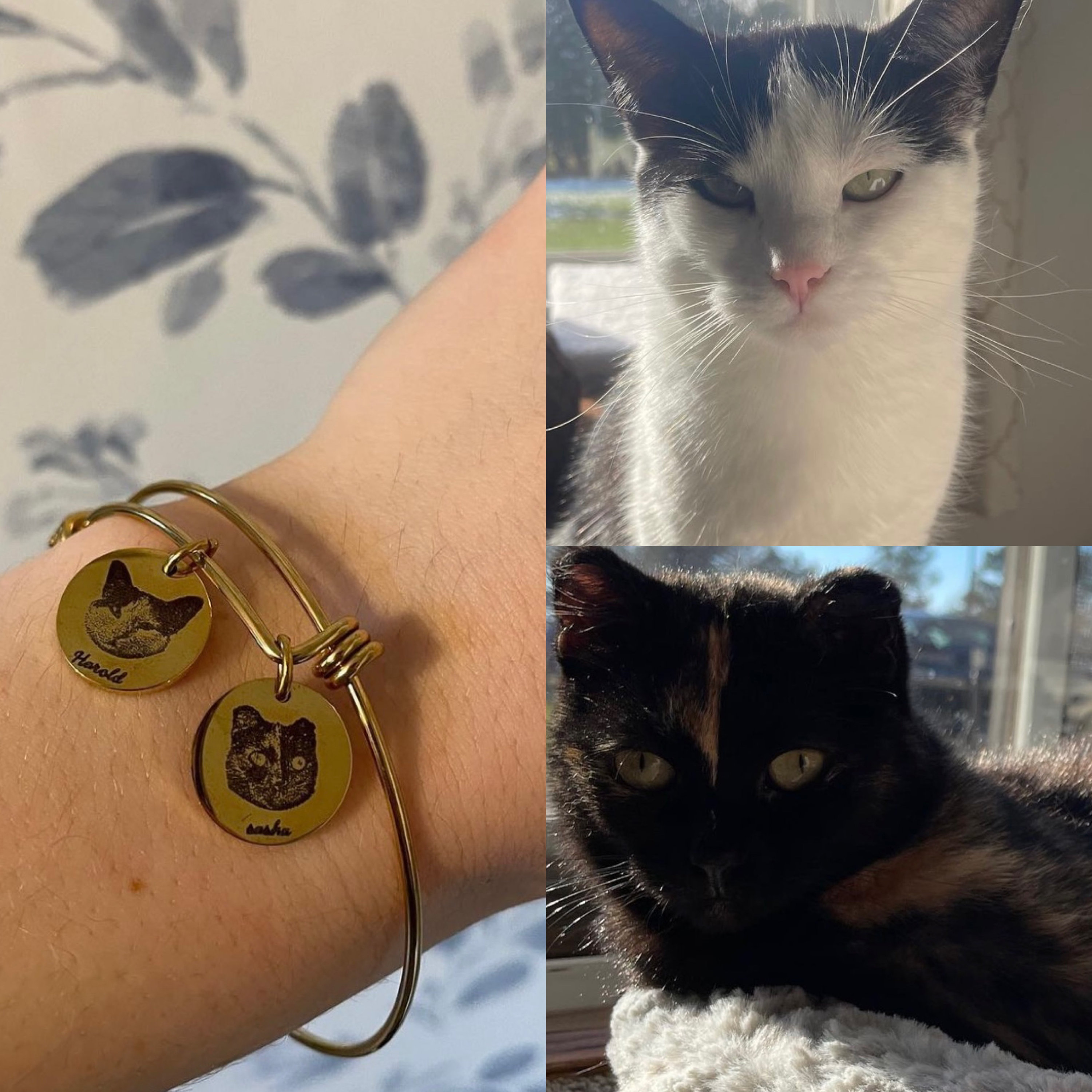 Personalized Photo and Name Bracelet of Your Pet, Minimalist Pet ...