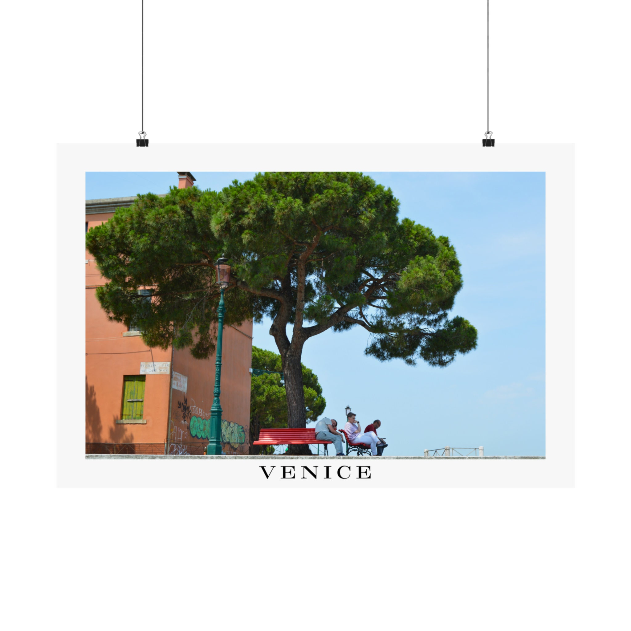 Venice Italy Relaxing Tree in Venice Italy Photo Art Venice Art Italy ...