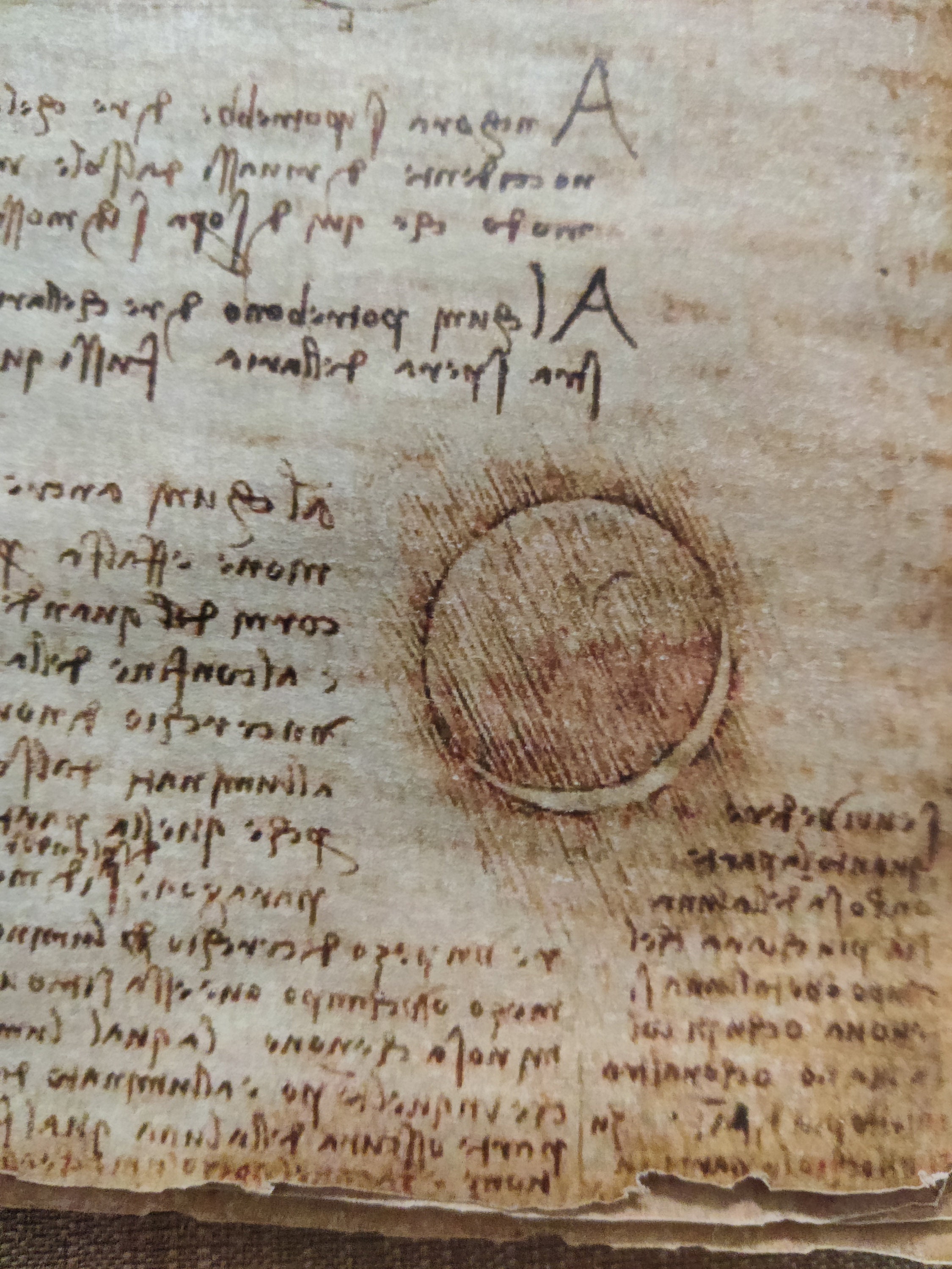 Leonardo Da Vinci Replica of Codex Leicester - Etsy