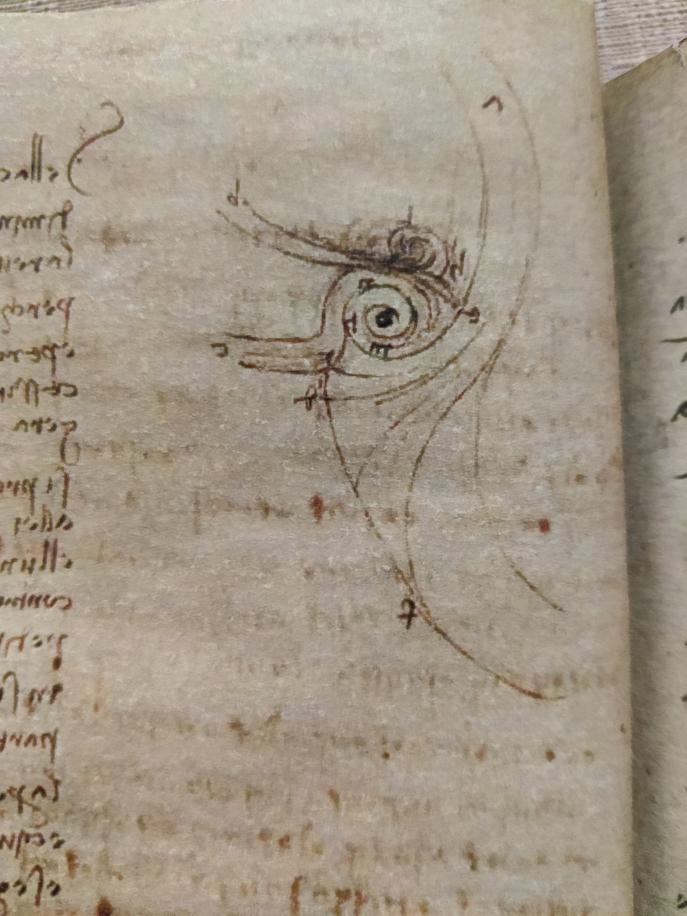 Leonardo Da Vinci Replica of Codex Leicester - Etsy