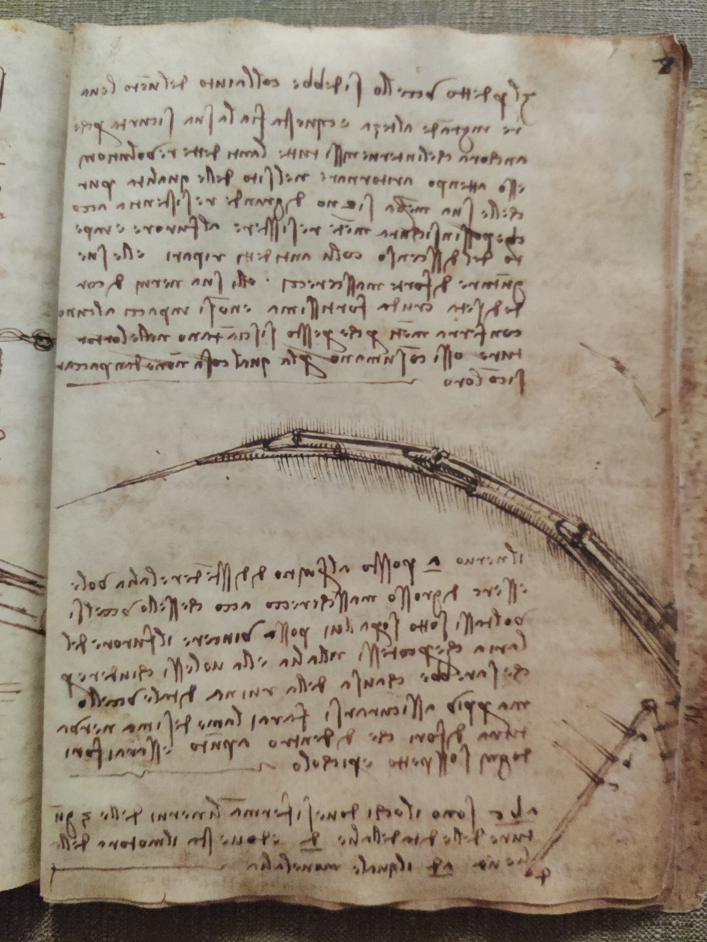 Leonardo Da Vinci Replica of Codex of Flight of Birds - Etsy