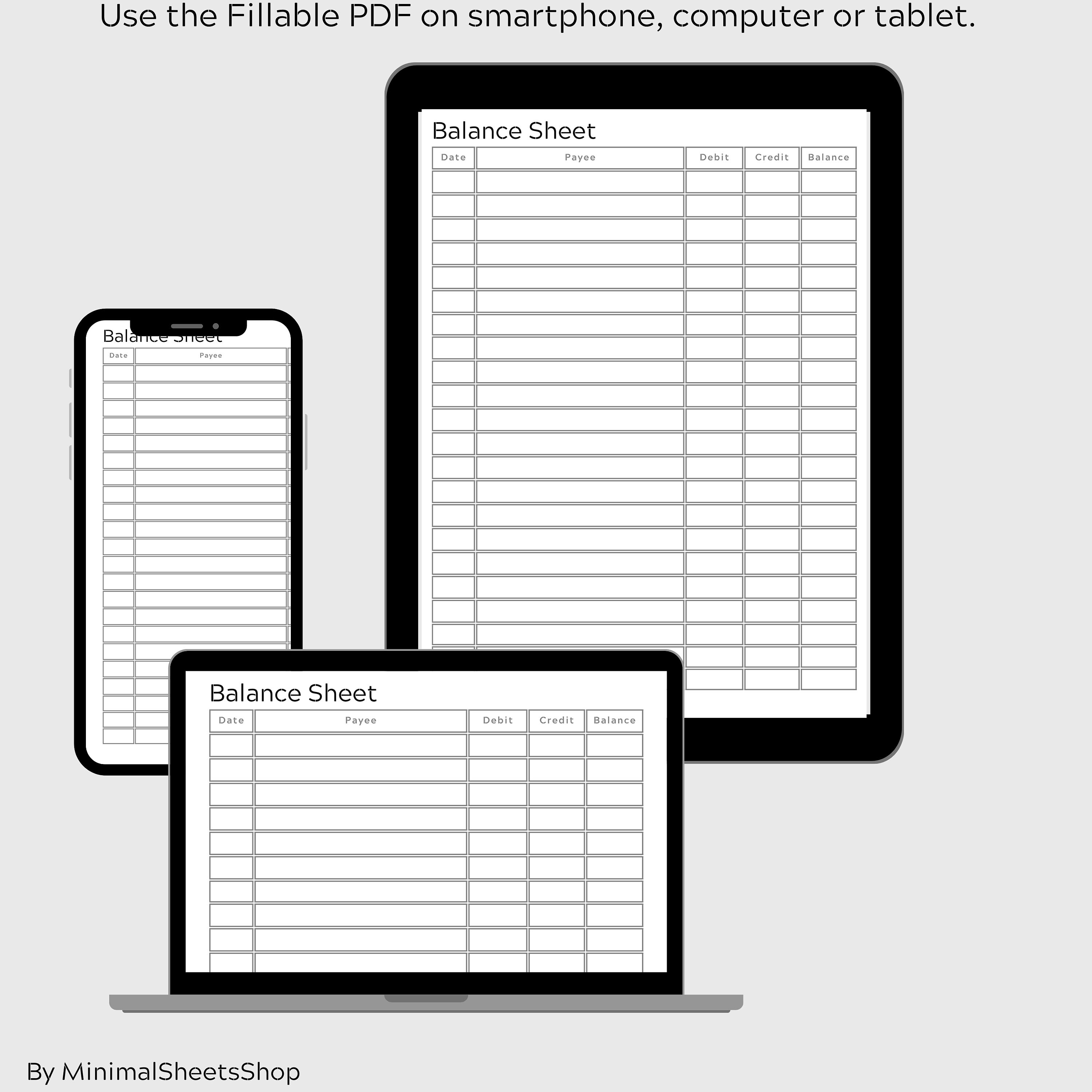 Basic Balance Sheet Template Track Spending - Etsy