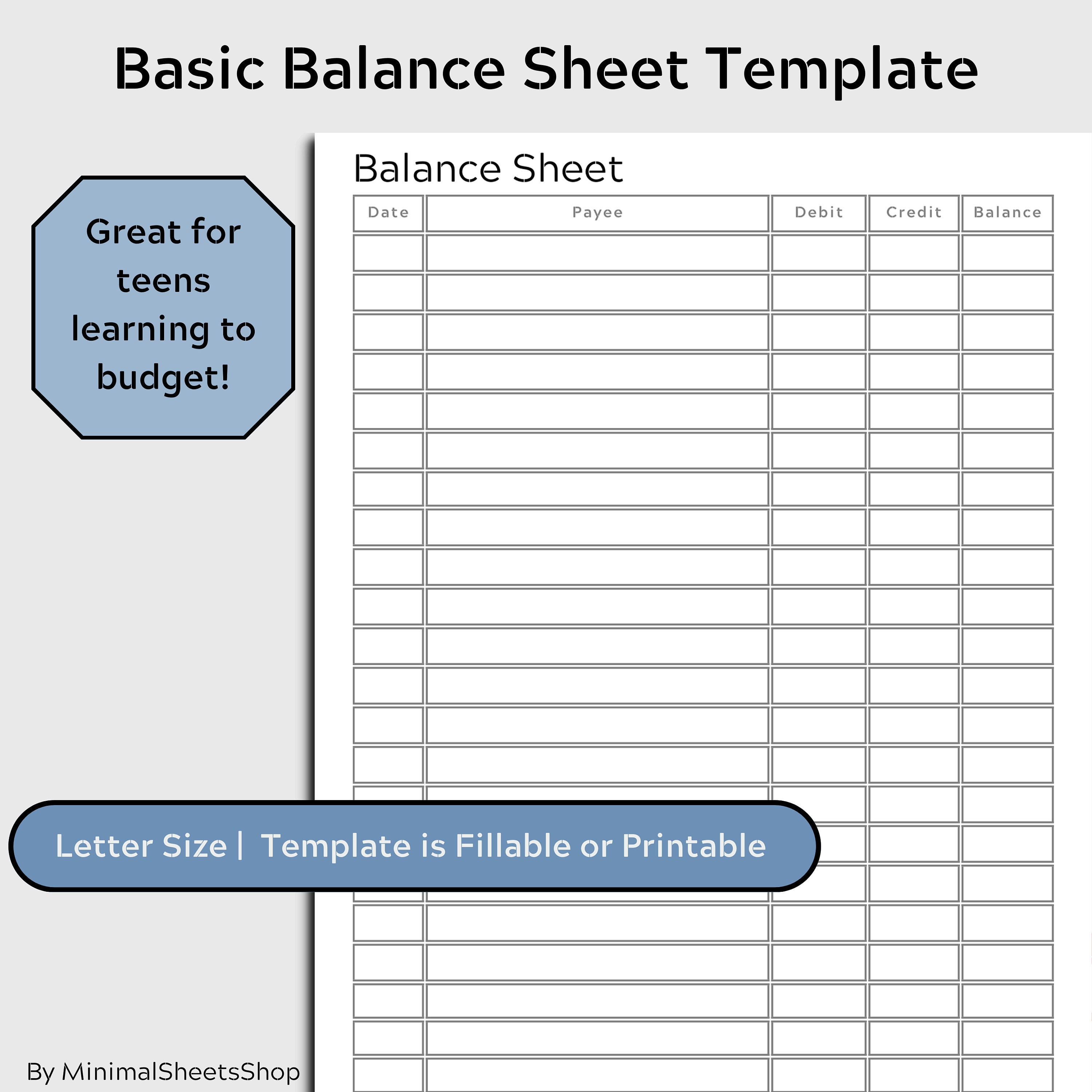 Basic Balance Sheet Template Track Spending - Etsy
