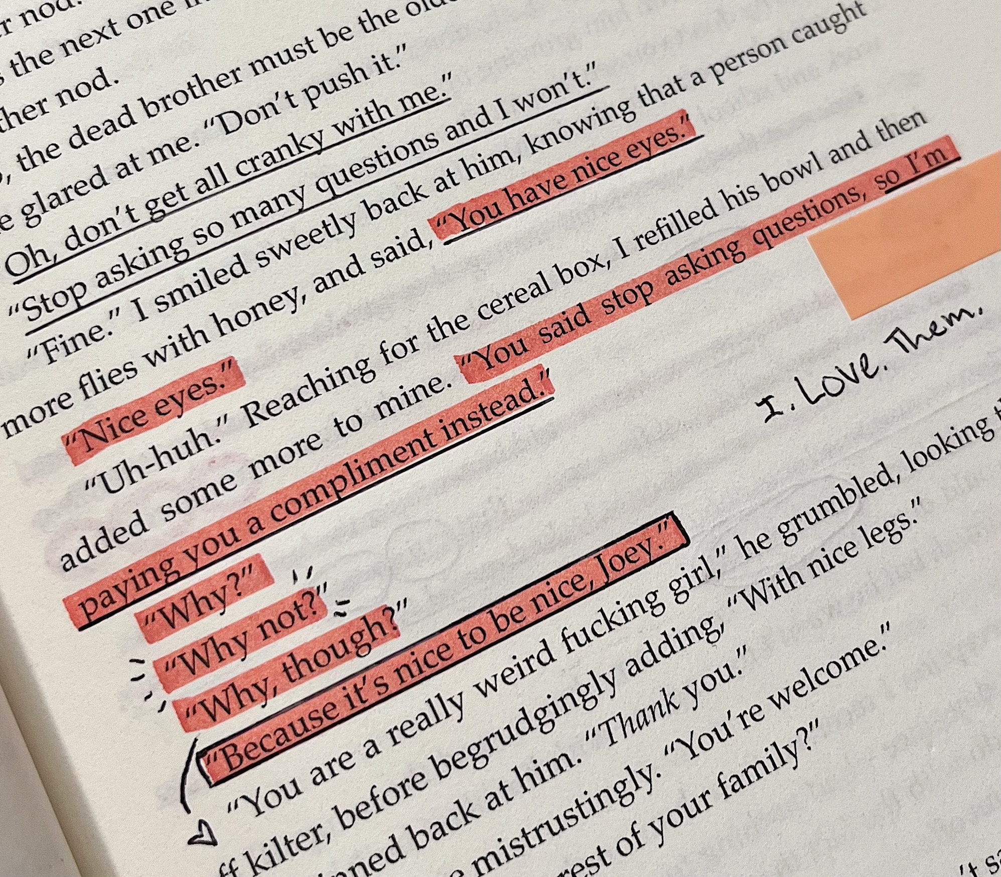 Fully Annotated Romance Book - Etsy