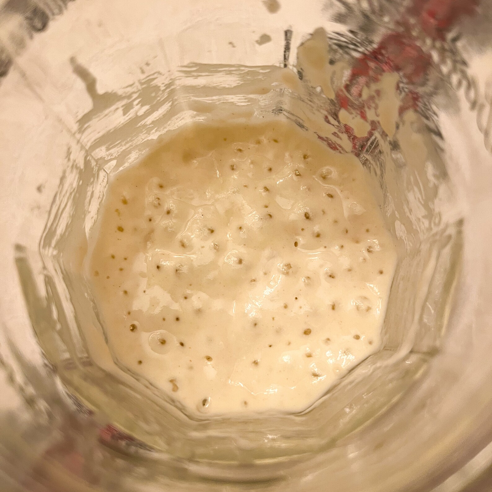 Old European Sourdough Starter 15 Grams .5 Oz Sourdough Bread ...