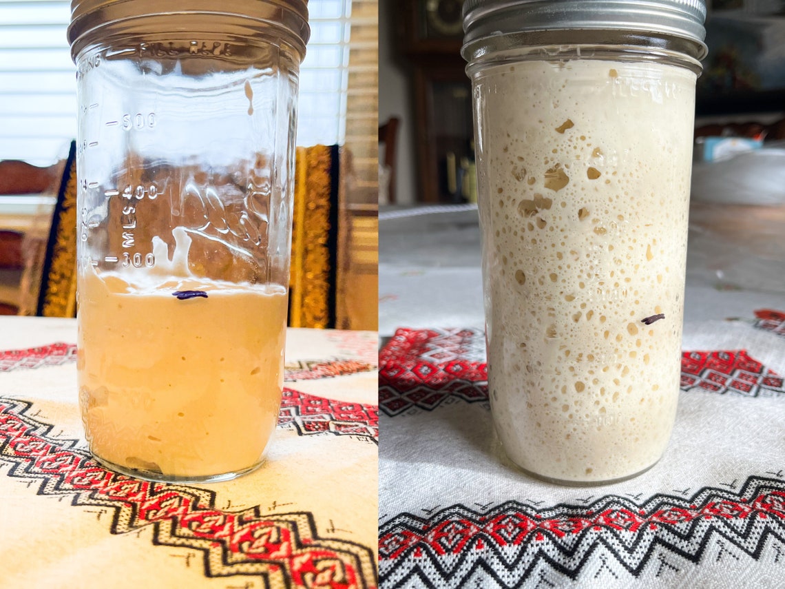 Old European Sourdough Starter 15 Grams .5 Oz Sourdough Bread ...