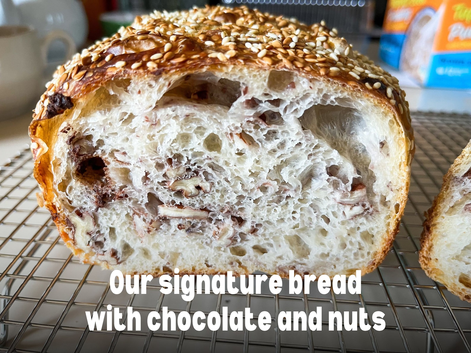 Old European Sourdough Starter 15 Grams .5 Oz Sourdough Bread ...