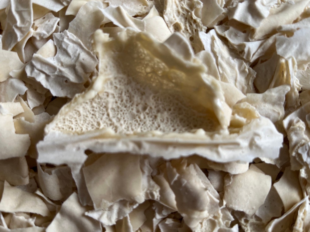 Old European Sourdough Starter 15 Grams .5 Oz Sourdough Bread ...