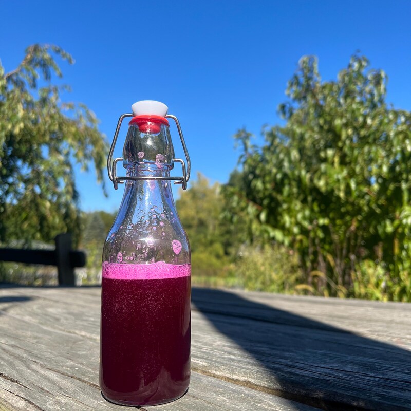 Pokeberry - Etsy