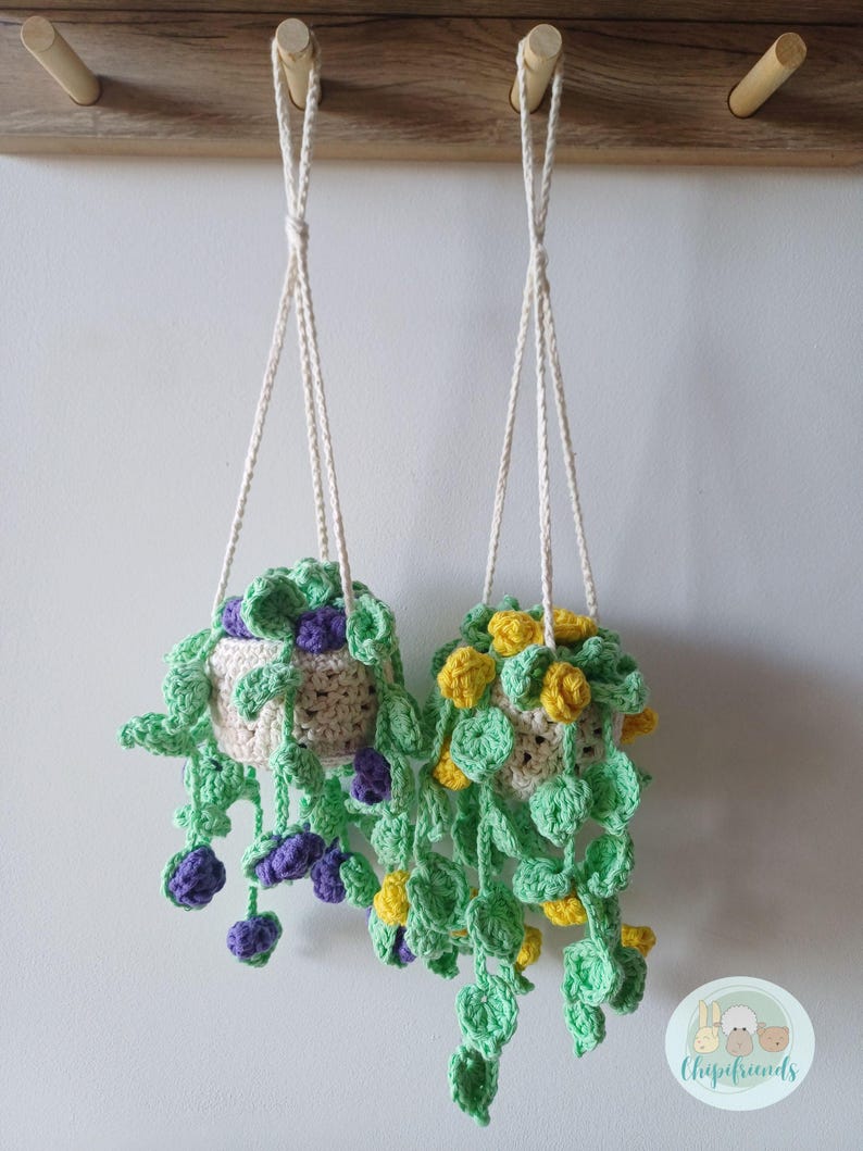 Crochet PATTERN Plant Baskets | Hanging Flowers Pattern | Crochet Car ...