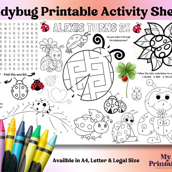 Ladybug Theme Party - Etsy