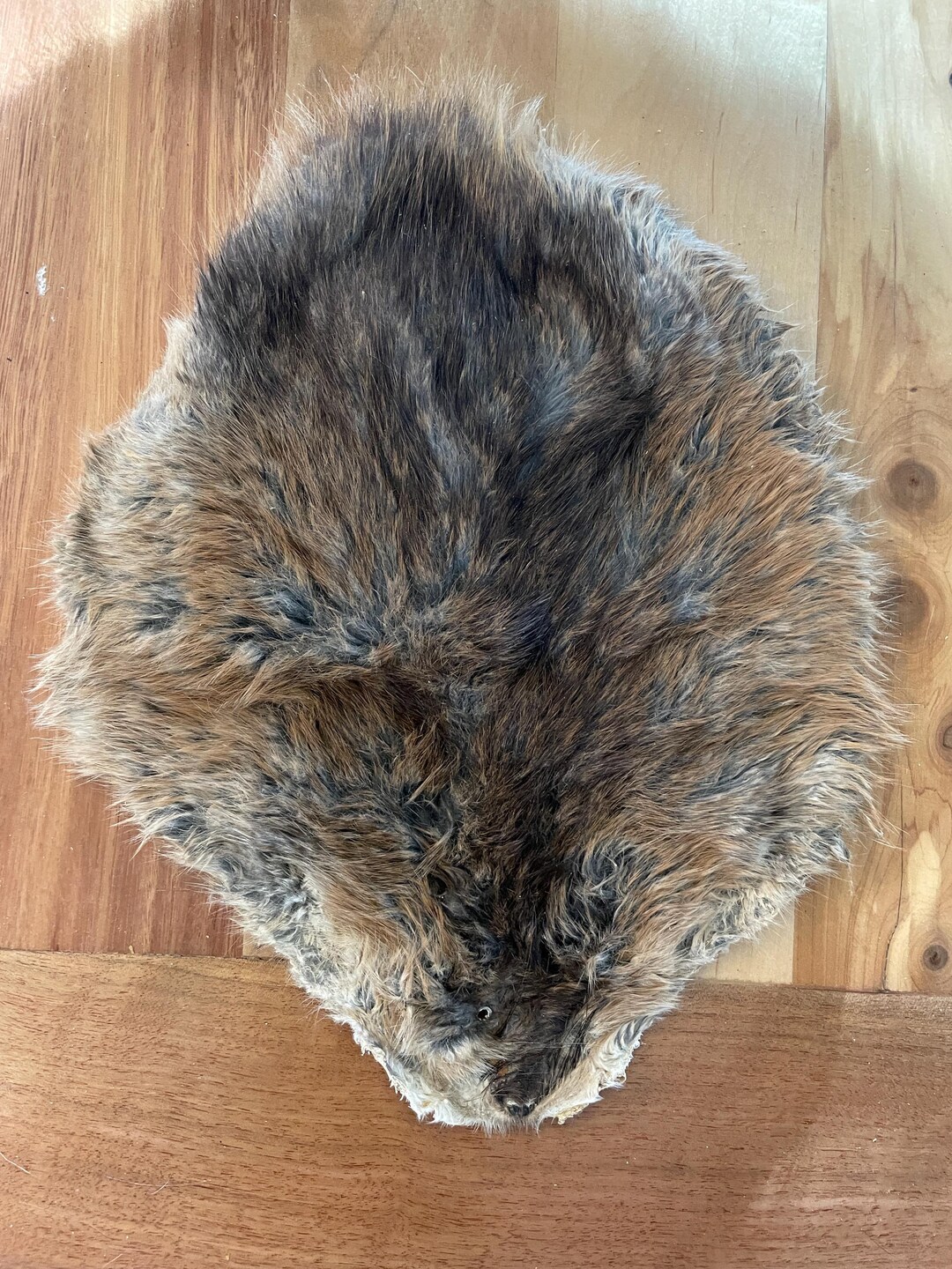 Tanned Muskrat Hide - Etsy