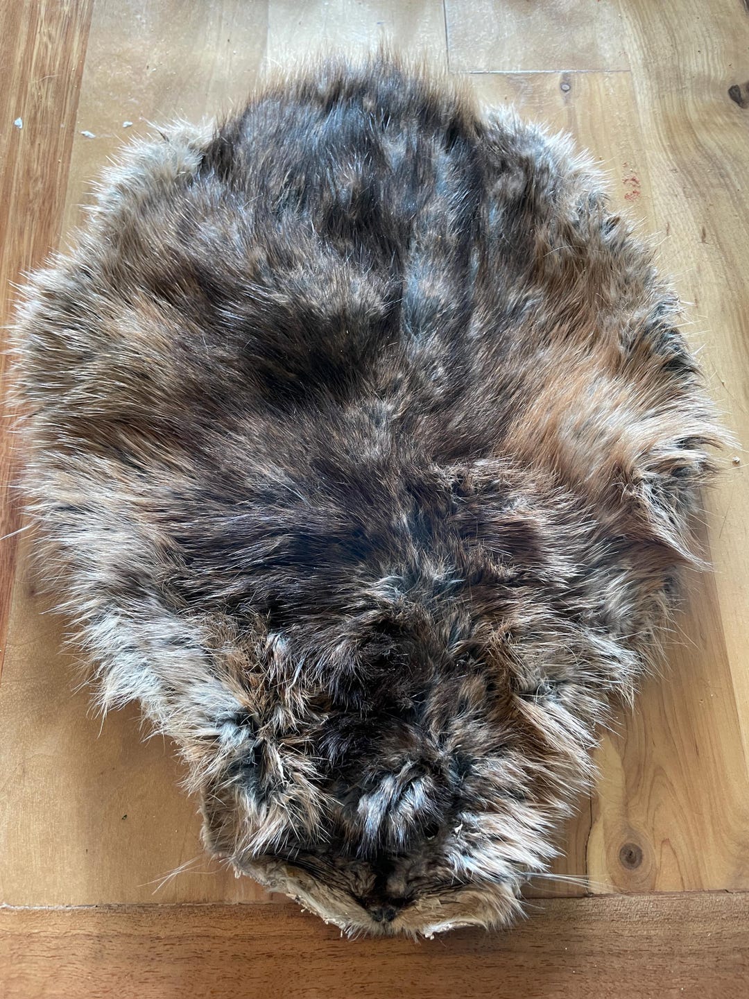 Tanned Muskrat Hide - Etsy
