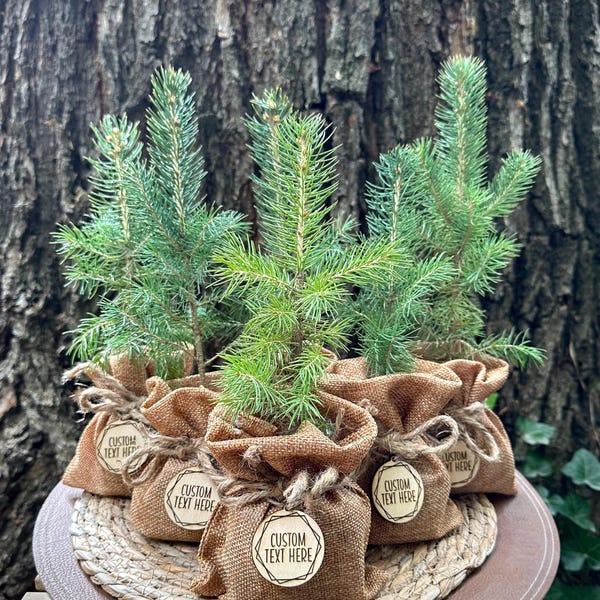 Tree Favors - Etsy