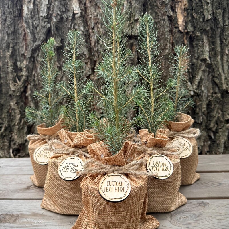 Tree Favors - Etsy
