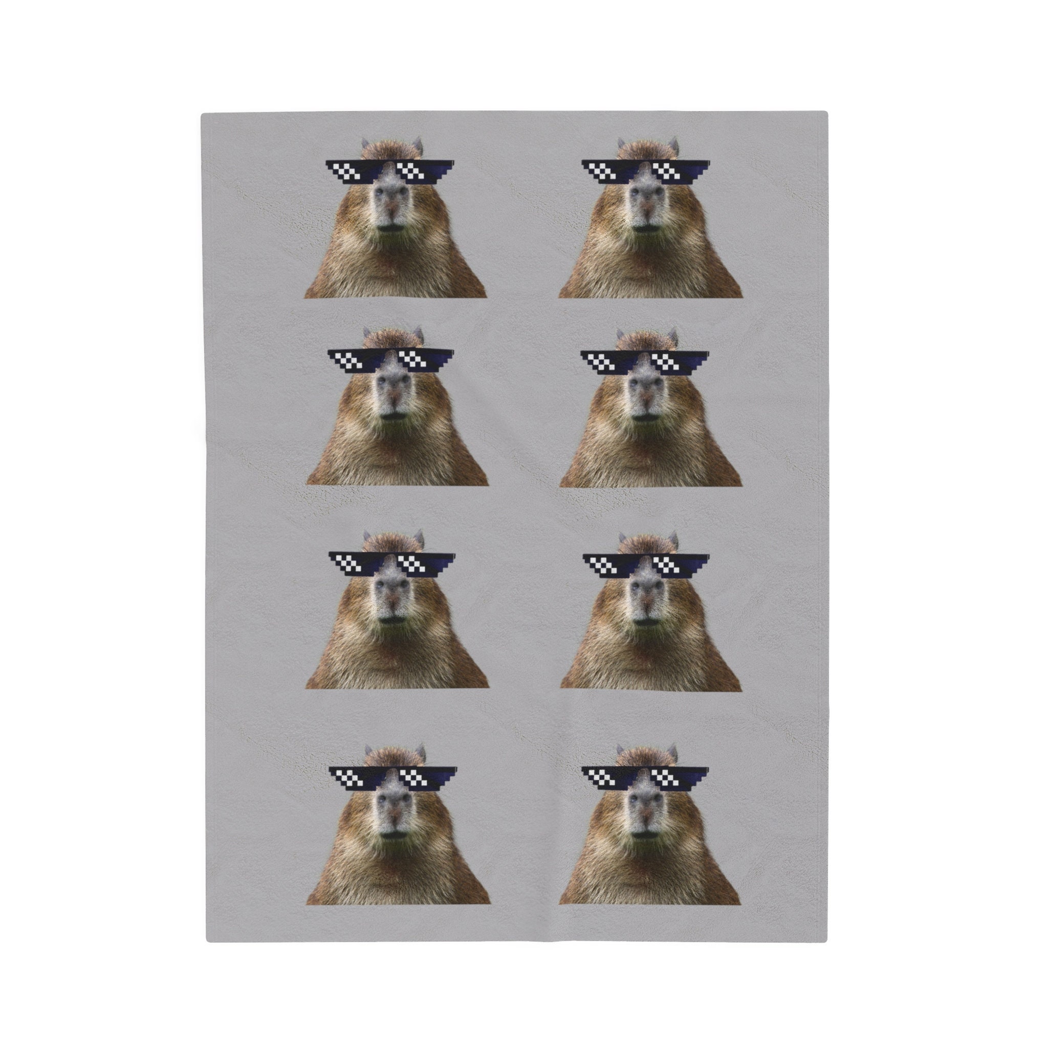 Capybara Plush Blanket, Velveteen Plush Blanket, Capybara Lover Decor ...