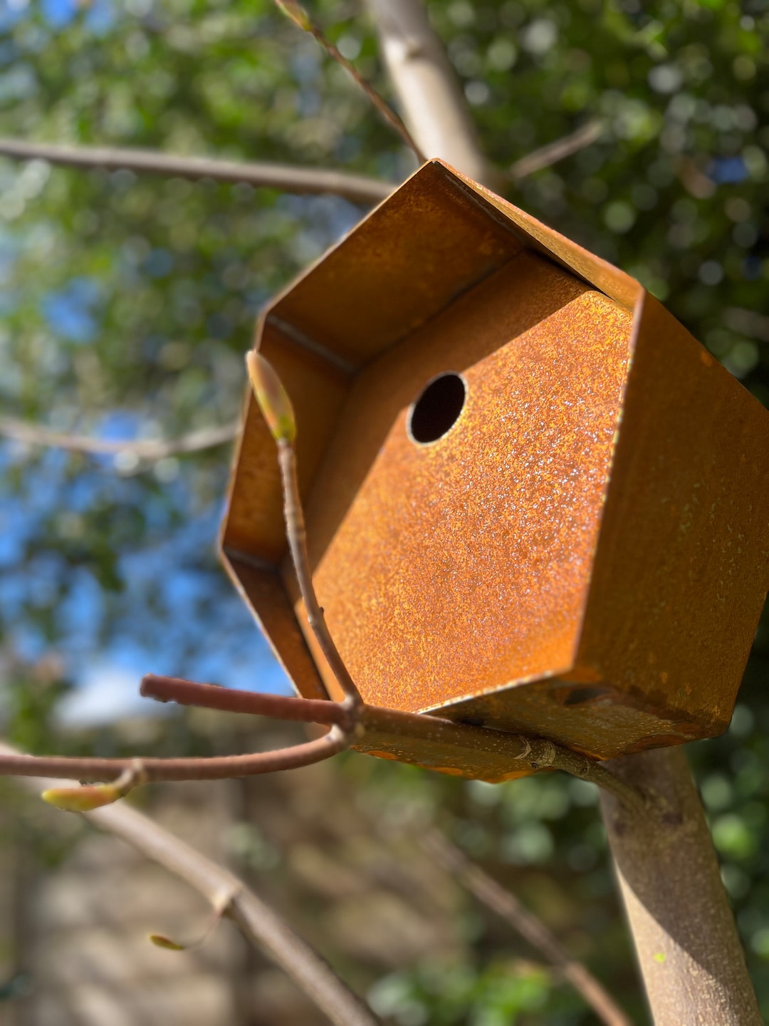 Corten Steel Hexagon Bird House Box Nesting Box 200mm - Etsy UK