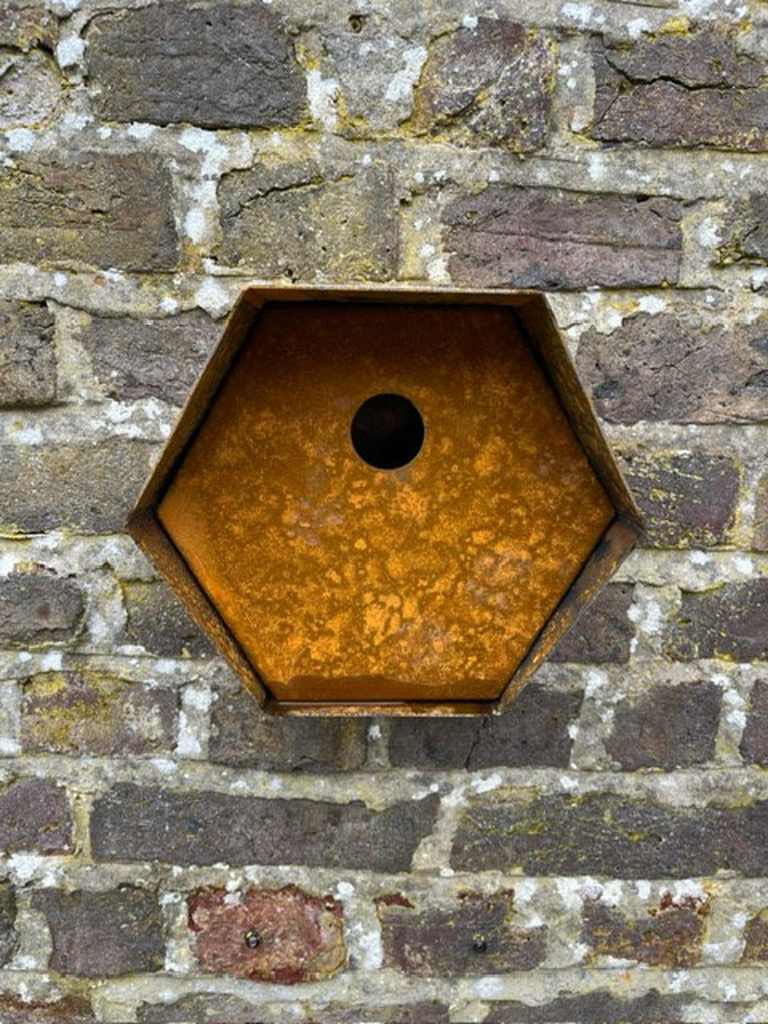 NEW PRE ORDER Corten Steel Hexagon Bird House Box Nesting Box 200mm - Etsy