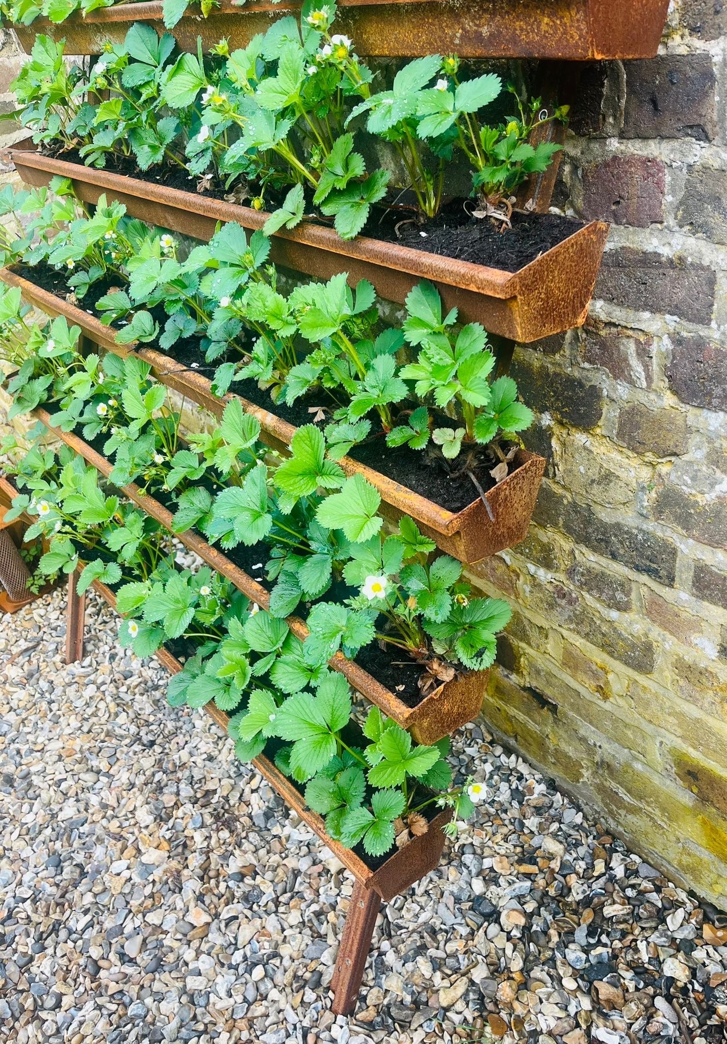 Corten Steel Strawberry Herb Plant Vertical Wall-mounted Planter Urban ...
