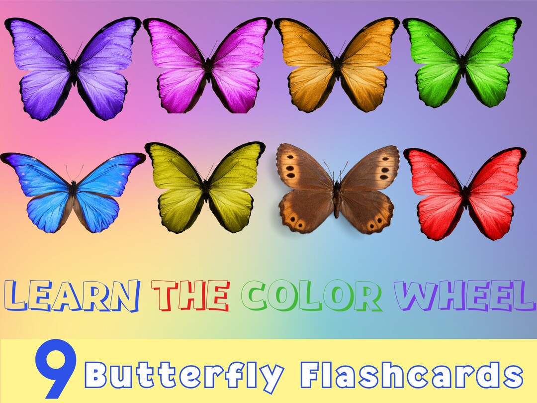 Colored Butterfly Flashcards Color Flashcards for Kids, Kids' Digital ...