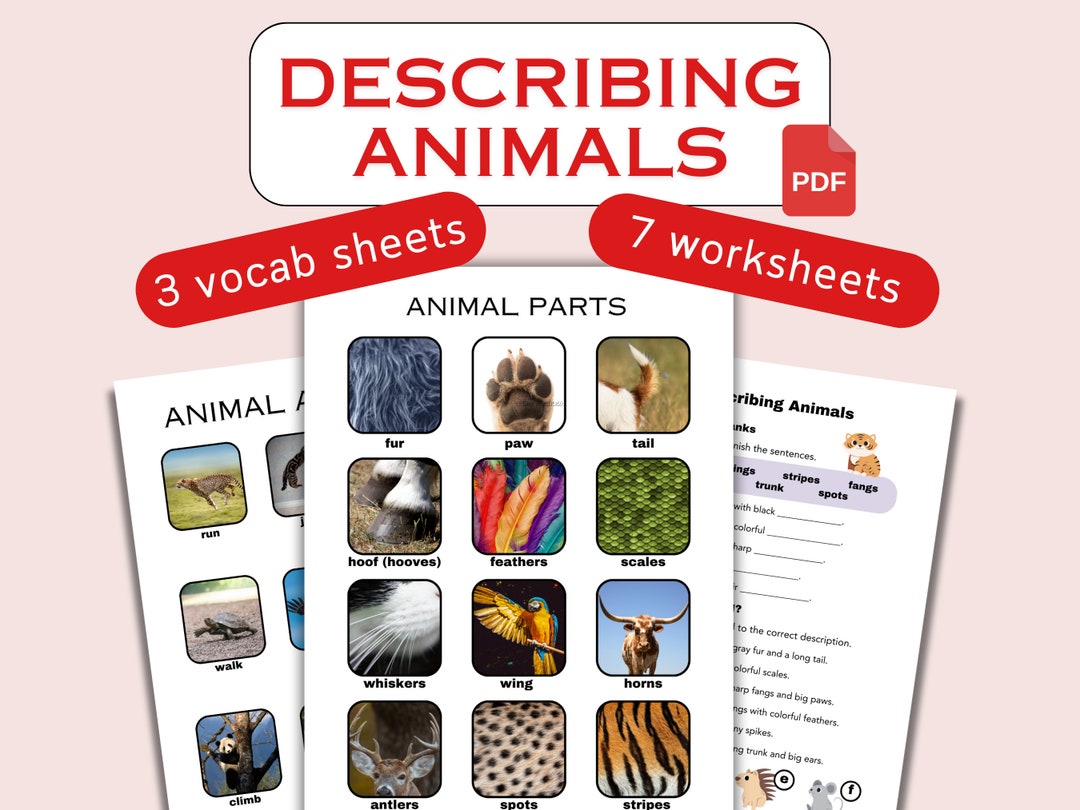 ESL Animal Descriptions Bundle - 10 Pages | Worksheets, Activities, and ...