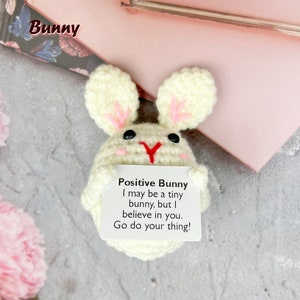 Handmade Crochet Bunny and Frog, Positive Bunny, Emotional Support Frog ...