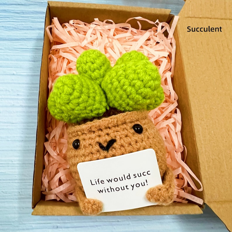 Crochet Succulent/cactus Plant Pot, Emotional Support Gifts for Her/him ...