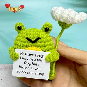 Handmade Crochet Positive Frog With Mushroom and Daisies-crochet ...