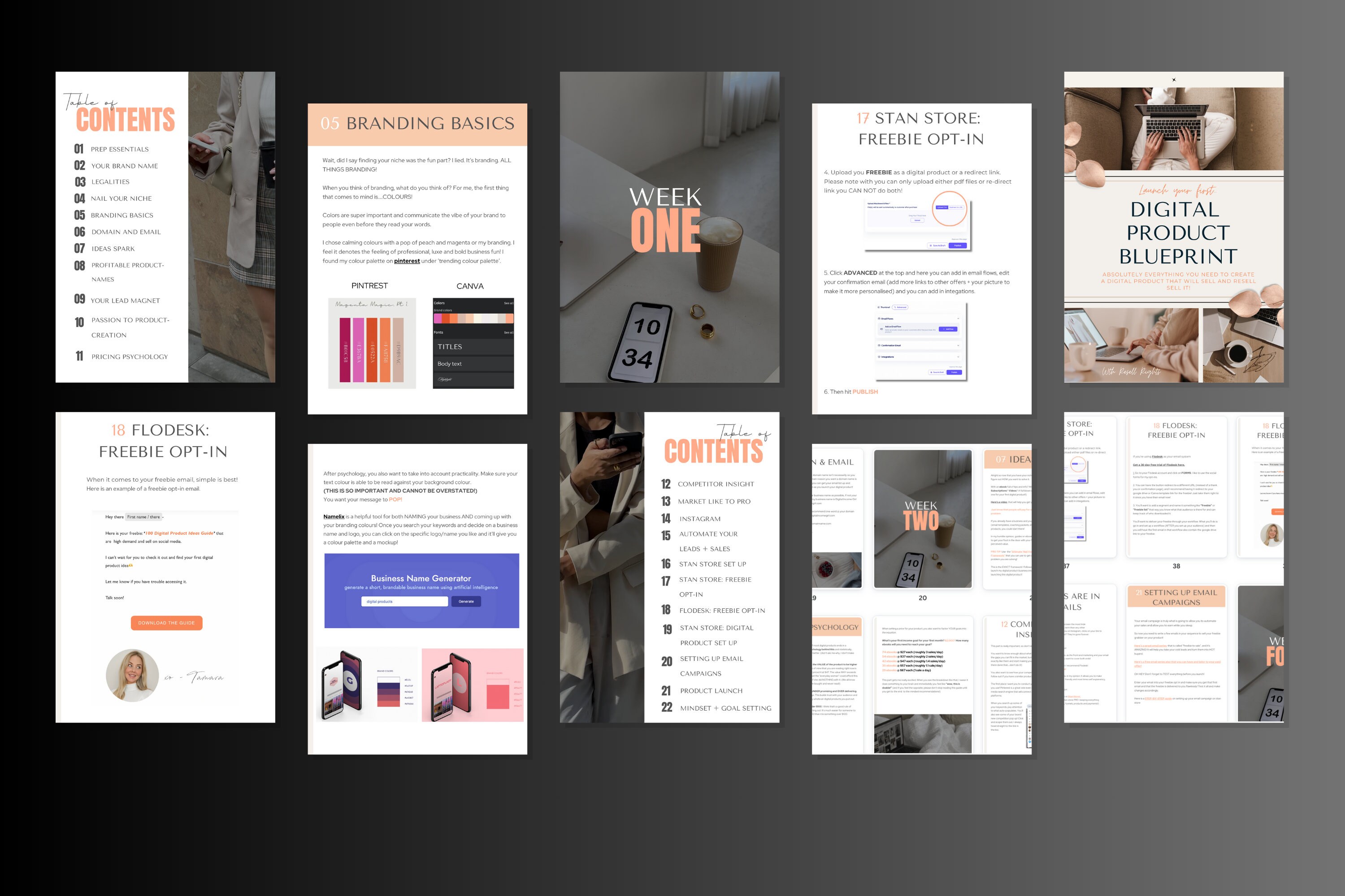 The Digital Product Blueprint with Master Resell Rights the Ultimate ...