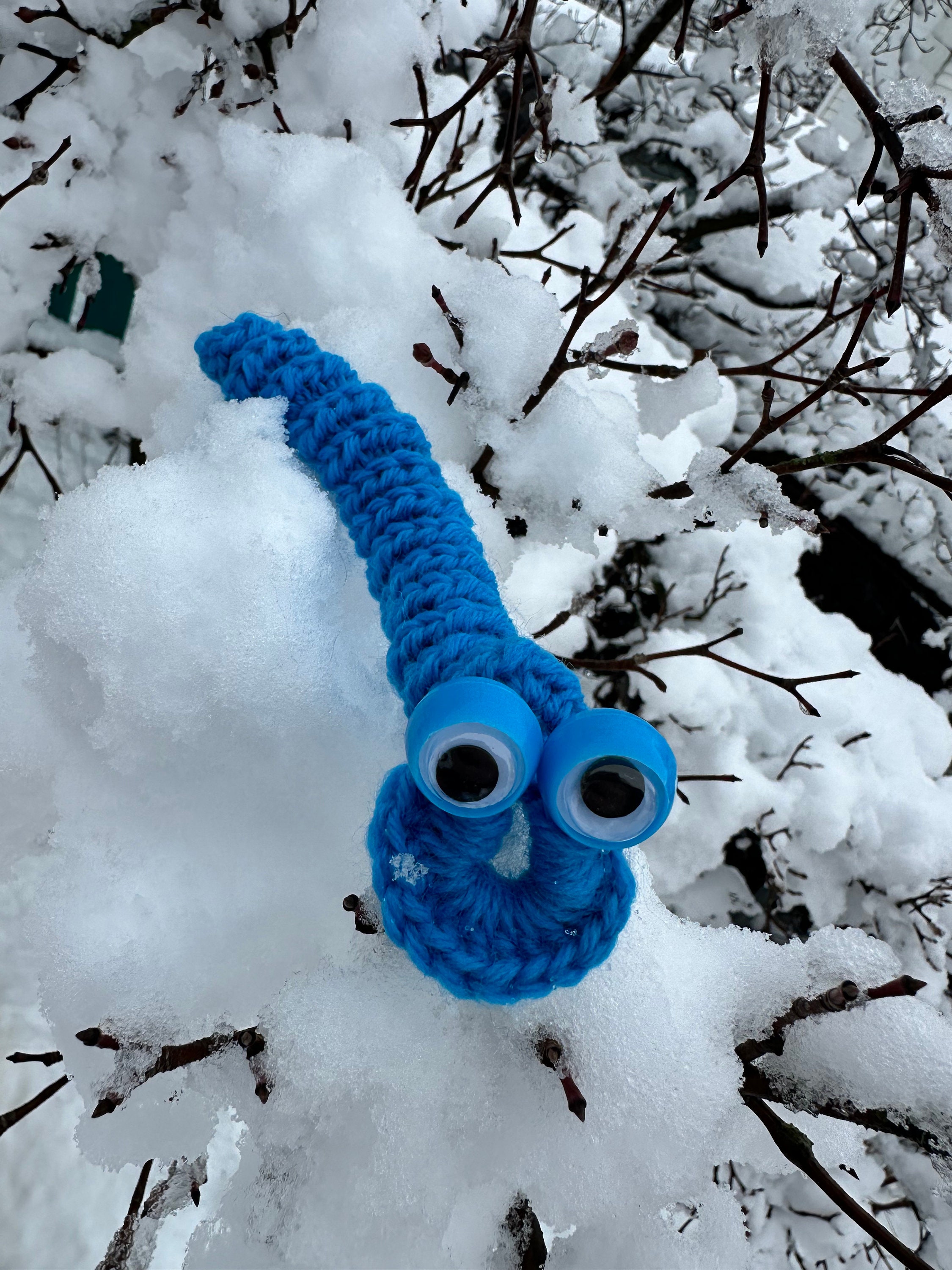 Squiggly Worm - Etsy