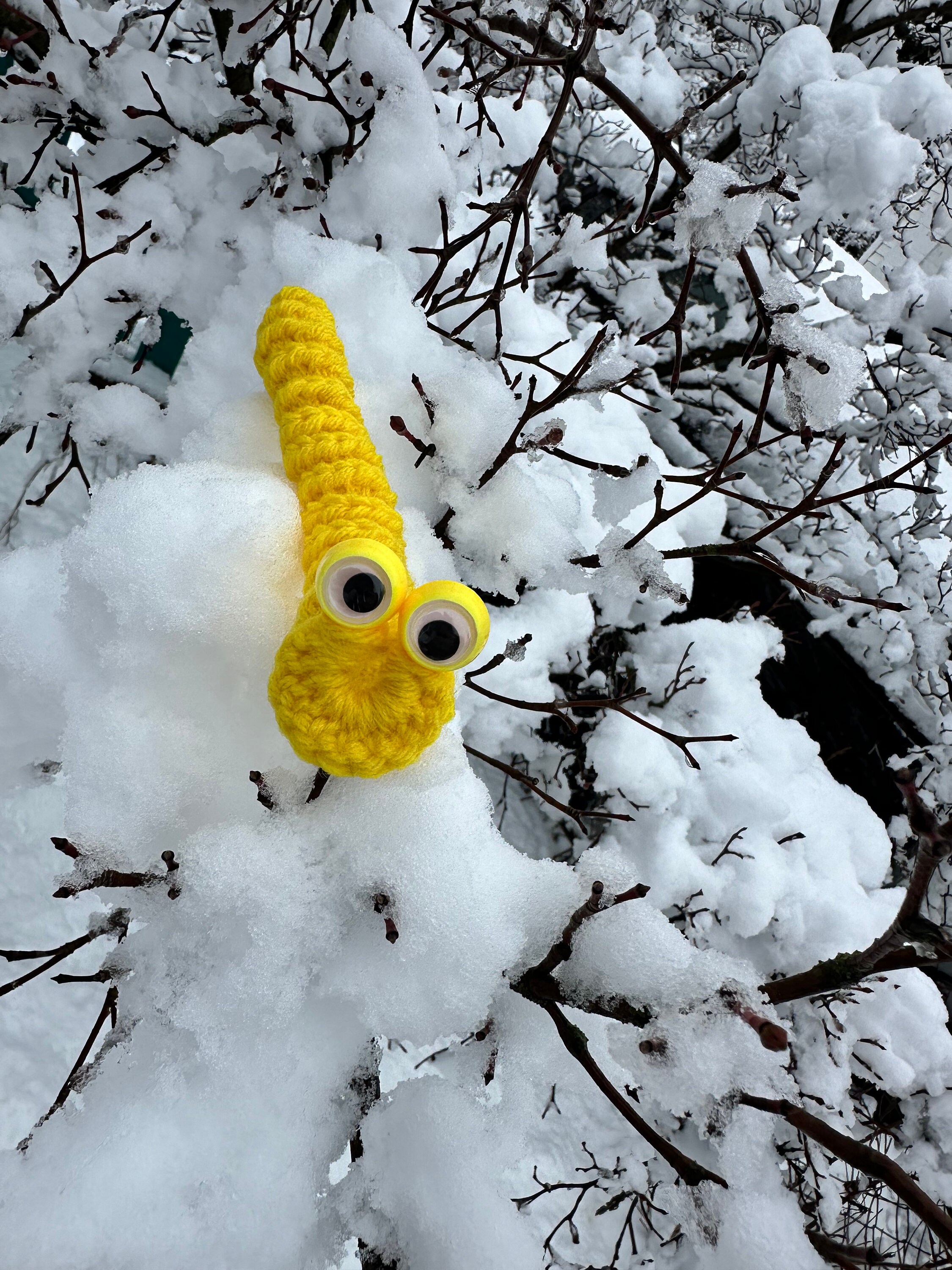 Squiggly Worm - Etsy