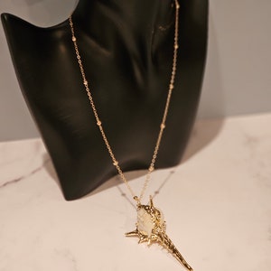 Natural Seashell Necklace | Murex Spiky Shell Necklace | Gold Accent ...