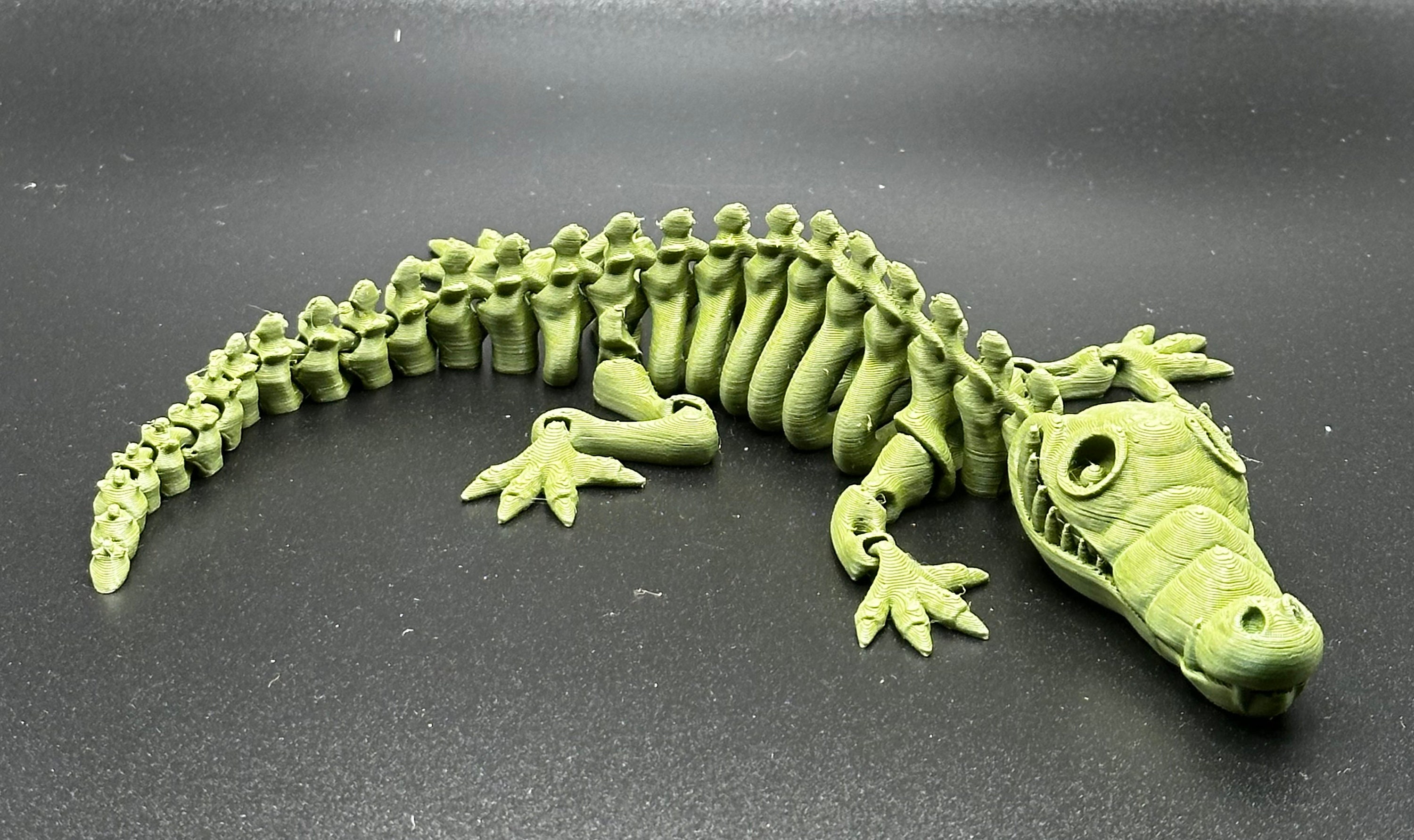 3D Printed Skeleton Crocodile - Etsy